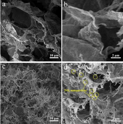 SEM Images A C And The Enlarged SEM Images B D Of RGO And Download Scientific Diagram