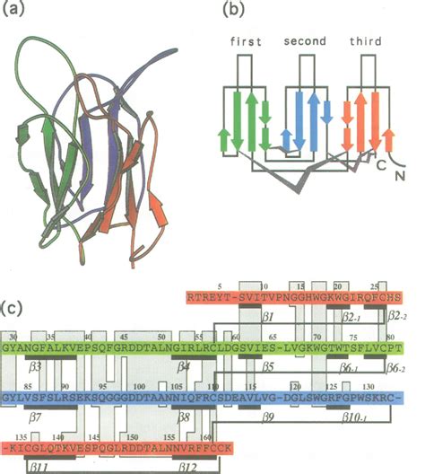 Figure 1 From Crystal Structure Of Vitelline Membrane Outer Layer