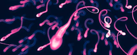 Mathematicians Find Strange Link Between Zebra Stripes And Sperm Tails