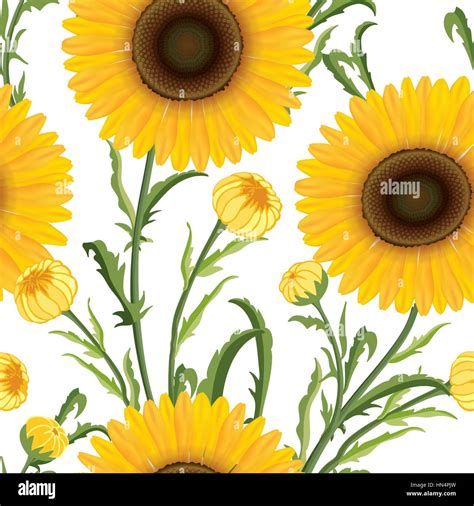 Floral Seamless Pattern Flower Background Floral Seamless Texture