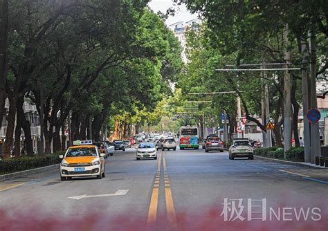 武昌水果湖路等10条道路获评“武汉最美林荫路”凤凰网湖北凤凰网