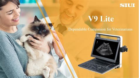 Siui Healthcare On Linkedin Siui Ultrasound Webinar Vetultrasound