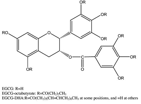 Chemical Structures Of Egcg And Its Derivatives Download Scientific