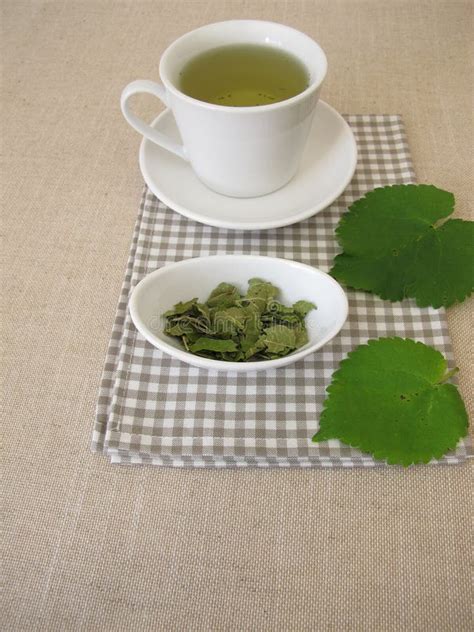 Mulberry Leaf Tea Made From Dried Leaves Stock Image Image Of