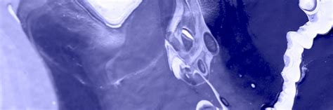 확산 아크릴 페인트 유체 예술의 기술로 만들어진 추상적 인 배경 2022의 색상을 시연 매우 페리 2022년에 대한 스톡 사진 및 기타 이미지 Istock