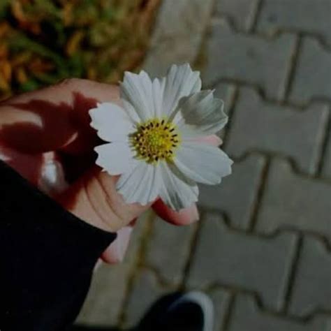 Arshiya˚˖𓍢ִ໋🦢 Arshiya 07075 • Threads Say More