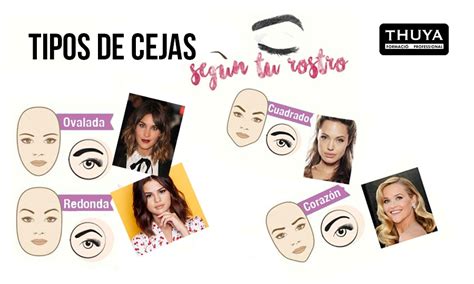 Qué tipo de cejas son para cara redonda