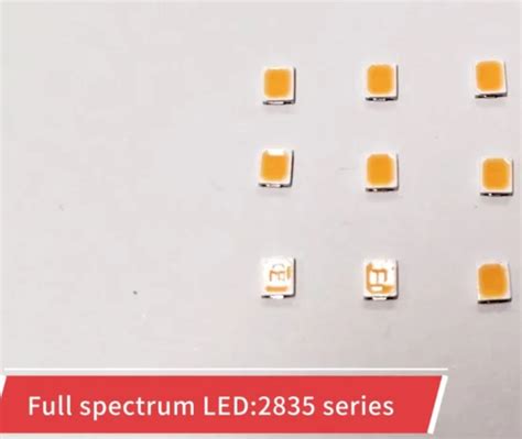 SMD LED White Light SMD LED K And SMD LED
