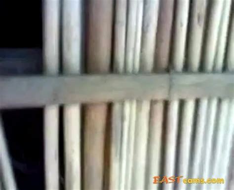 Bangladeshi Village Group Sex