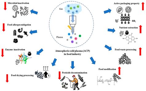 Insights Into Cold Plasma Treatment On The Cereal And Legume Proteins Modification Principle