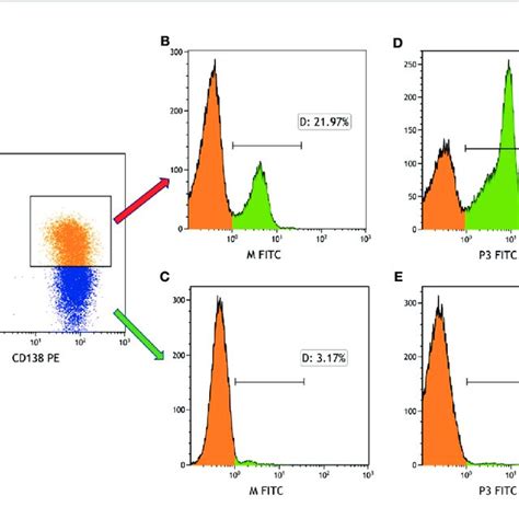 The Structure Of Hla E Targeted Binding Peptides A M B P1 C Download Scientific