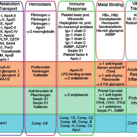 Relationship Of HDL Proteins A General Functional Relationships Of Download Scientific