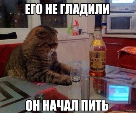 Котейка пьёт | Пикабу
