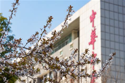 南京市中华中学2021年春季公开招聘教师公告（40名）