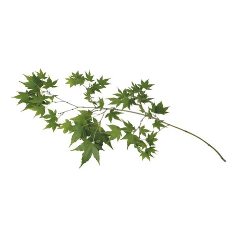 Compostable Items San Francisco Environment Department Sfe