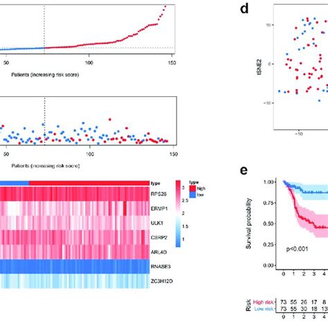 Survival Analysis Of Tcga Training Dataset A Dividing High And Low