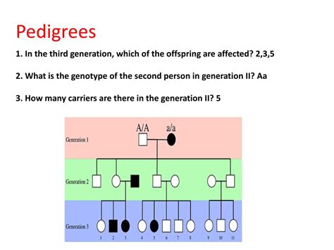 Ppt Gregor Mendel Powerpoint Presentation Free Download Id2338994