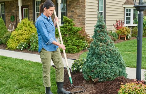 Seasonal Lawn Care Guide Inspired At Home A Blog By Home By Ames