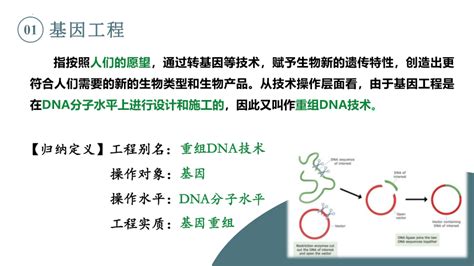 Dna Ppt