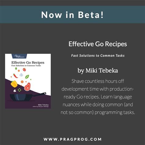 In Beta Effective Go Recipes By Miki Tebeka Fast Solutions To Common The Pragmatic Programmers