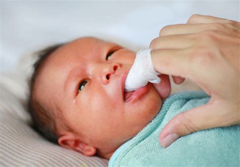 赤ちゃんの歯磨きはいつから始める？おすすめグッズも紹介 Domani
