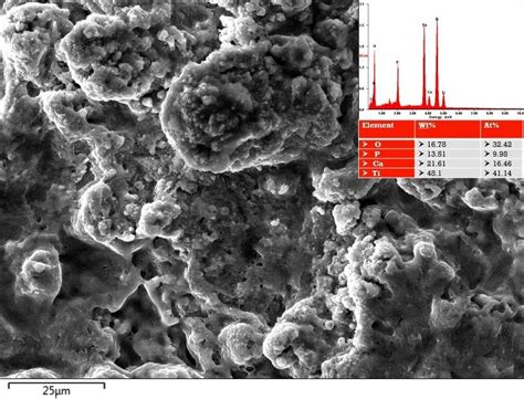 Sem Image And Eds Analysis Of The Hati Composite Coating Surface