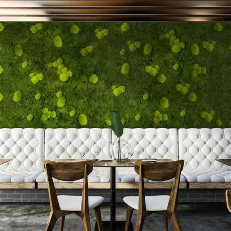 Mooswand Mit Wald Und Kugelmoos