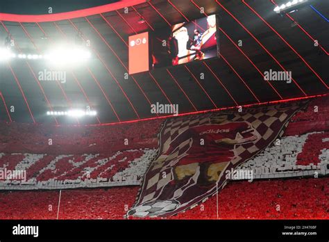 Munich Germany 30th Apr 2024 FC Bayern Munchen Giant Flag During