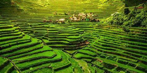 Banaue Rice Terraces Carved Into The Mountains Of Ifugao Philippines