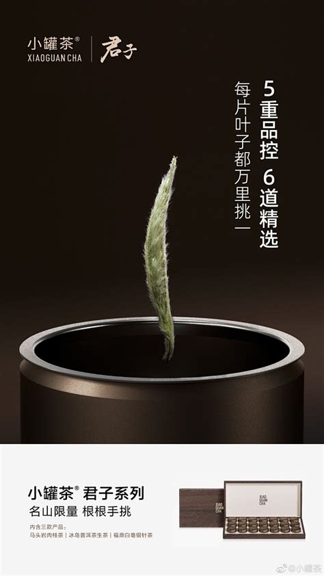 小罐茶 的个人主页 微博