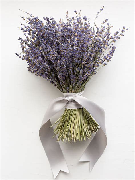 №700 – Букет лаванды, различные размеры - Botanic Craft | Цветы и ...
