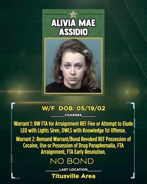 WHEEL OF FUGITIVE Brevard Sheriffs Office Names Alivia Mae Assidio