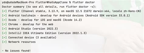 Flutter版本管理与检查：dart与flutter命令指南 Csdn博客