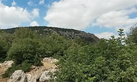 Ajloun Nature Reserve Ajlun Aktuelle 2021 Lohnt Es Sich Mit