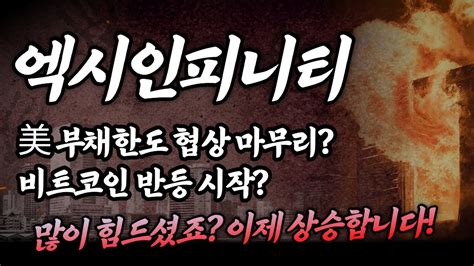 엑시인피니티 코인전망 비트코인 이더리움 도지코인 시바이누 앞으로의전망 저스틴 선 챗gpt블록체인 저장공간 메타버스nft 코인의