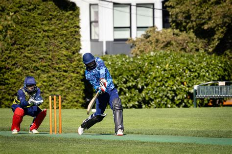 Cricket Bat And Ball Photos Download The Best Free Cricket Bat And