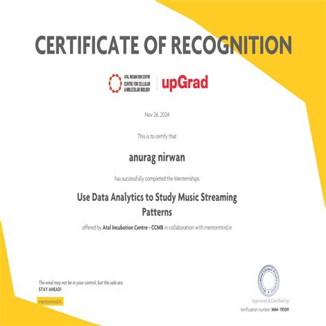 Dataanalytics Musicindustry Professionalgrowth Datascience Mentorship Anurag Nirwan 13