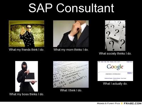 A Humorous Take On What Might Ring A Babe Too True On What An SAP Consultant Actually Does