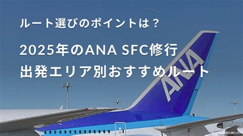 飛行機でwi Fiを使うには？ana国内線の機内wi Fiに繋げる方法