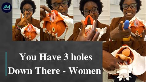 Females You Have 3 Holes Down There Pelvic Floor Female Anatomy