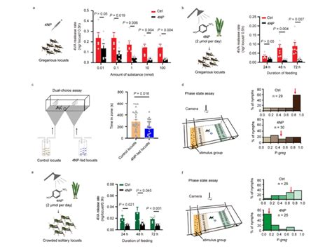北京大学化学与分子工程学院