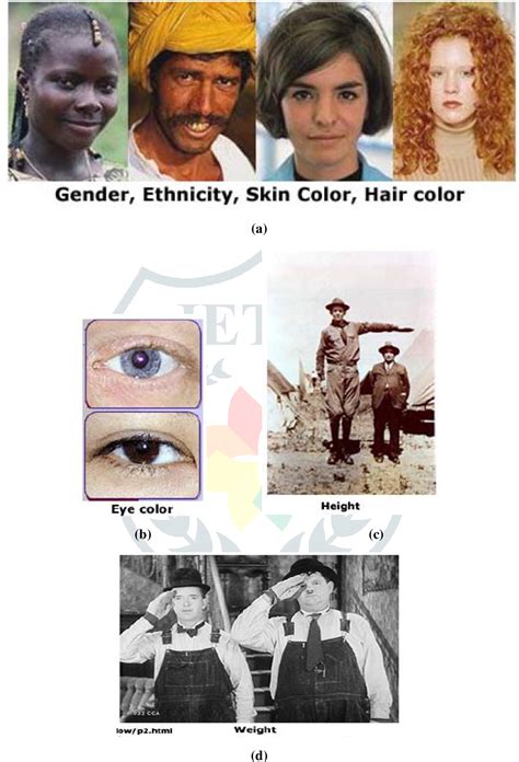 figure 1 from user recognition based on integration of biometric and
