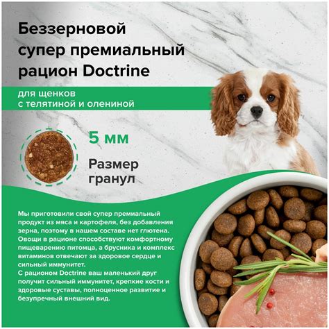 Сухой беззерновой корм DOCTRINE для щенков мелких пород с телятиной и ...
