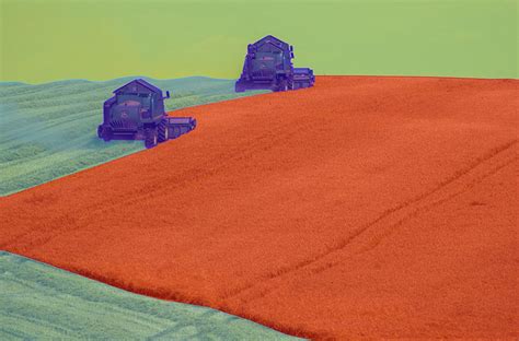 Data Bias In Ai Agricultureensuring Fairnessandsustainability