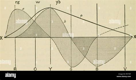 This 1907 Textbook On Physiology Serves As A Comprehensive Guide For