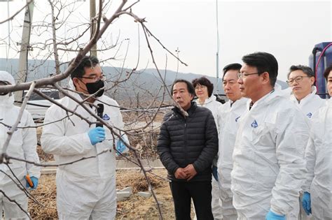 김인중 농림축산식품부 차관 권기창 안동시장과 ‘화상병 궤양 제거 현장점검 포토뉴스 영남시민뉴스