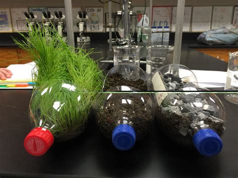 Soil Erosion Lab AP Environmental Science Lab Reports
