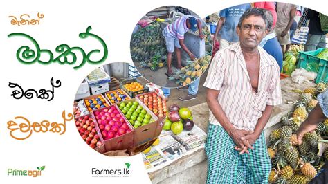 මැනින් මාකට් එකේ දවසක් Youtube