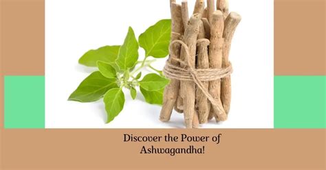 Power Of Ashwagandha 101 Scientifically Proven Health Benefits In 2024
