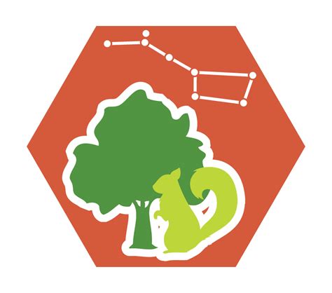 Scoutsinsignes Scouting Stein